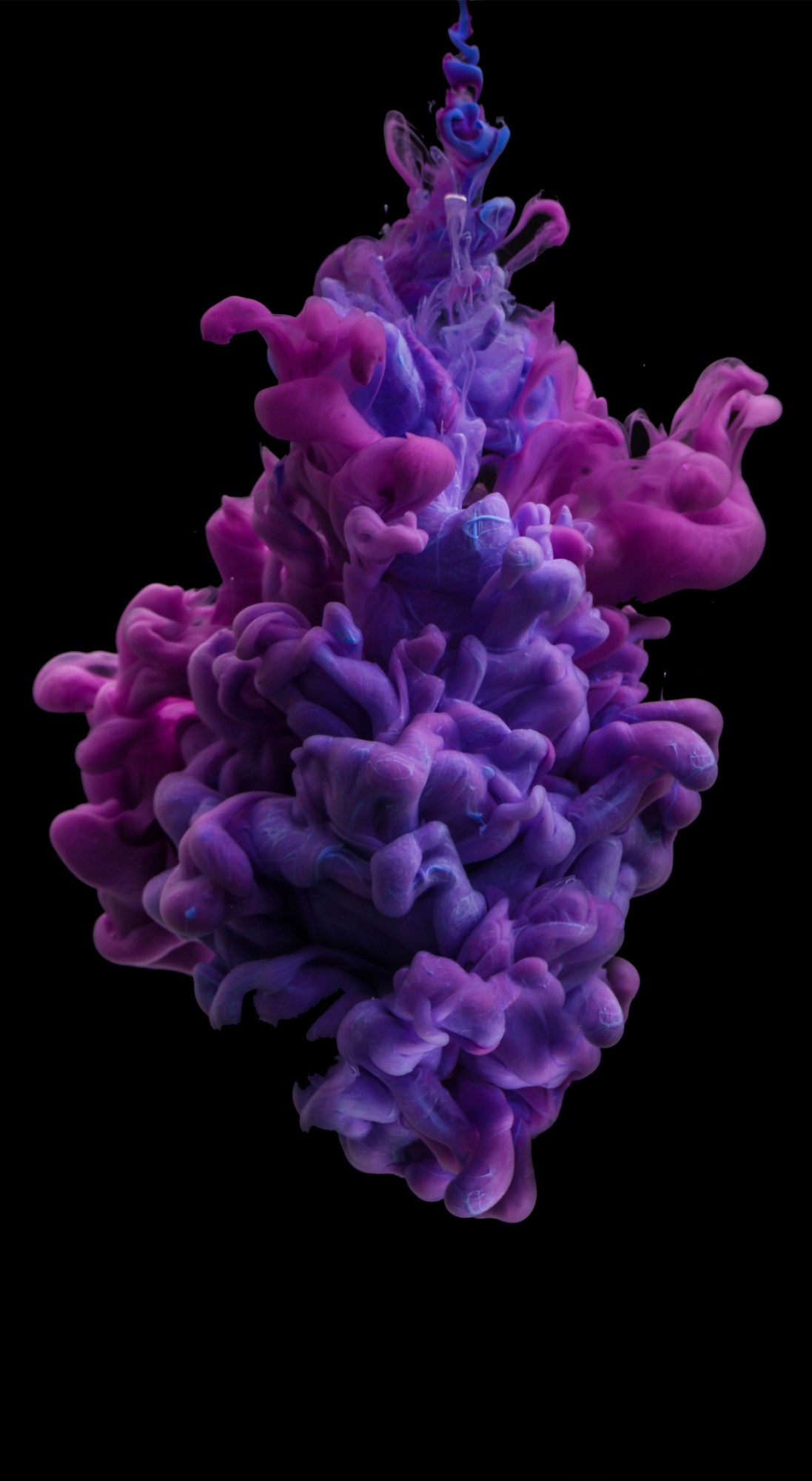 Portfolio | Derick Andrew Ferdinands